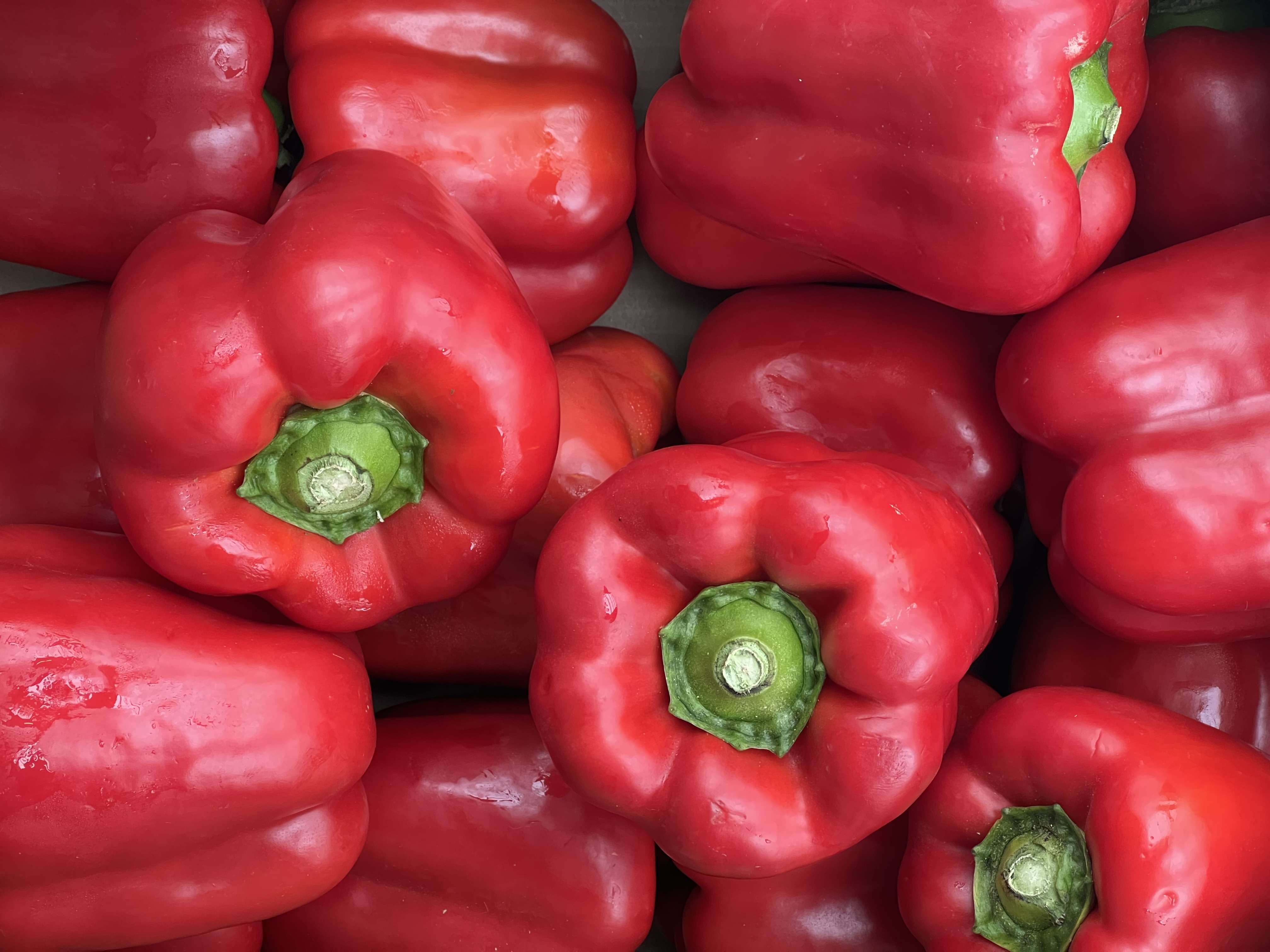 Pepper, red – Grow Wild